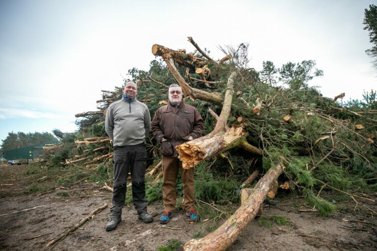 How 'warzone' Forfar Golf Club battled back from Storm Arwen