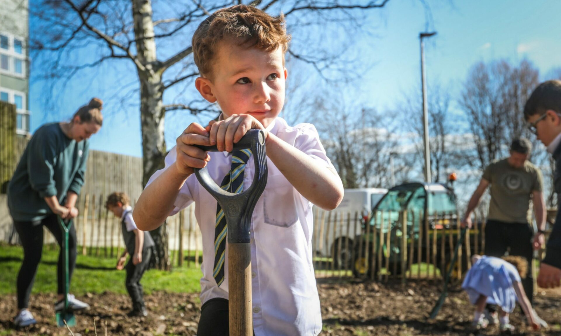 Here's how Dundee's Wee Forests might keep you cool