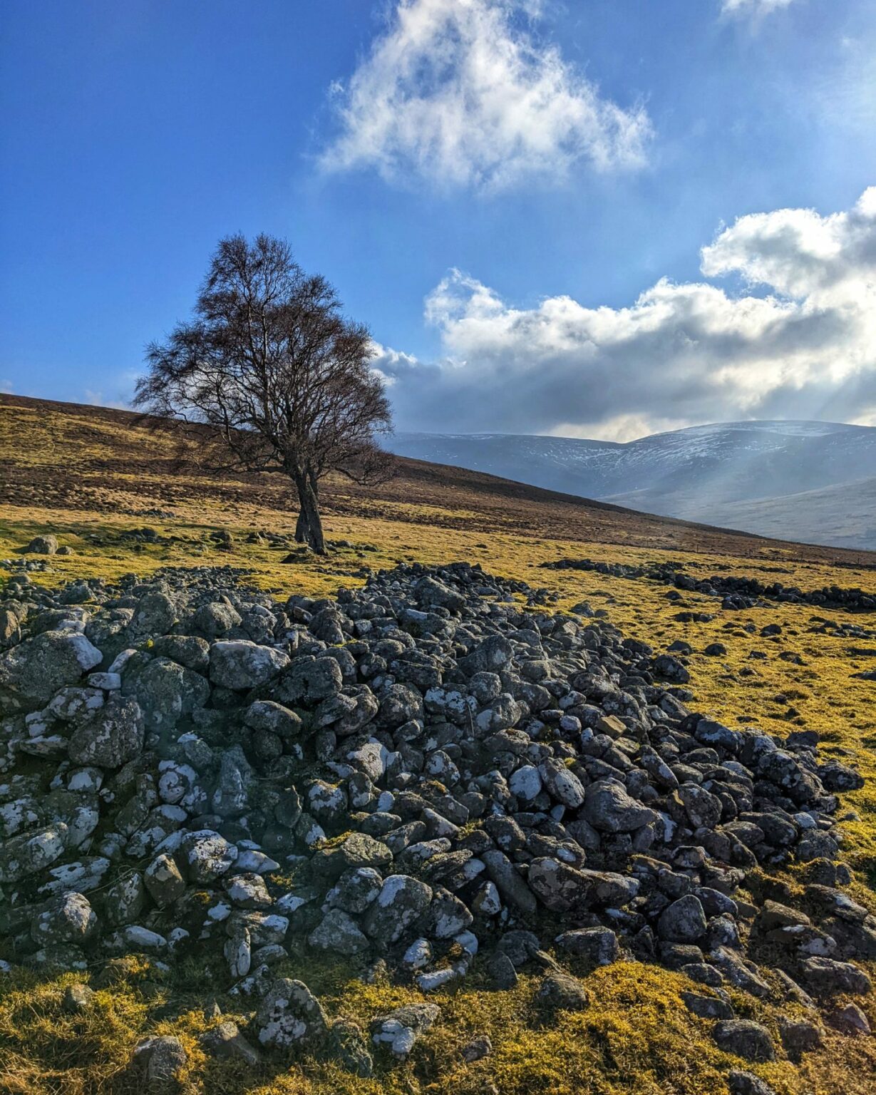 Impassable Glen Esk bridge raises questions on ancient right of way
