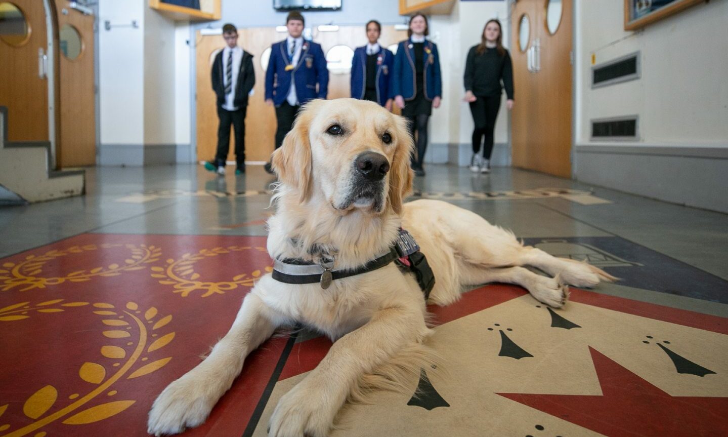 Bell Baxter pupils are raising funds to keep 'life-changing' therapy ...