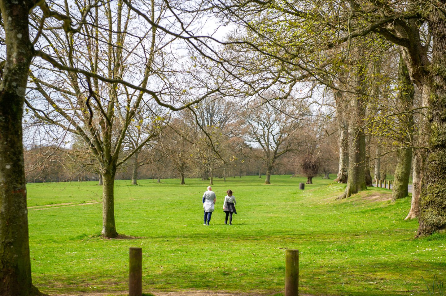 5 wonderful winter walks to enjoy in Dundee this Christmas