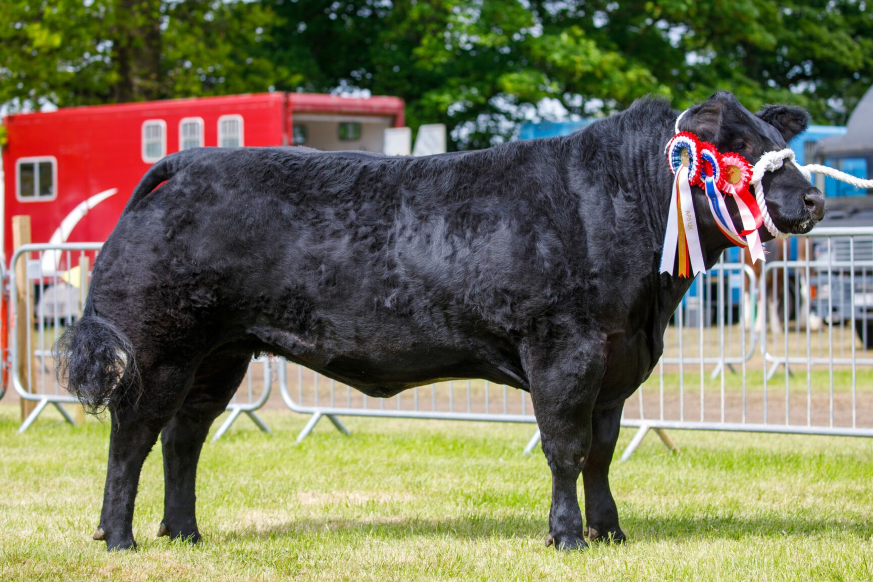 IN PICTURES: Thousands enjoy the outdoors at the 200th Fife Show - The ...