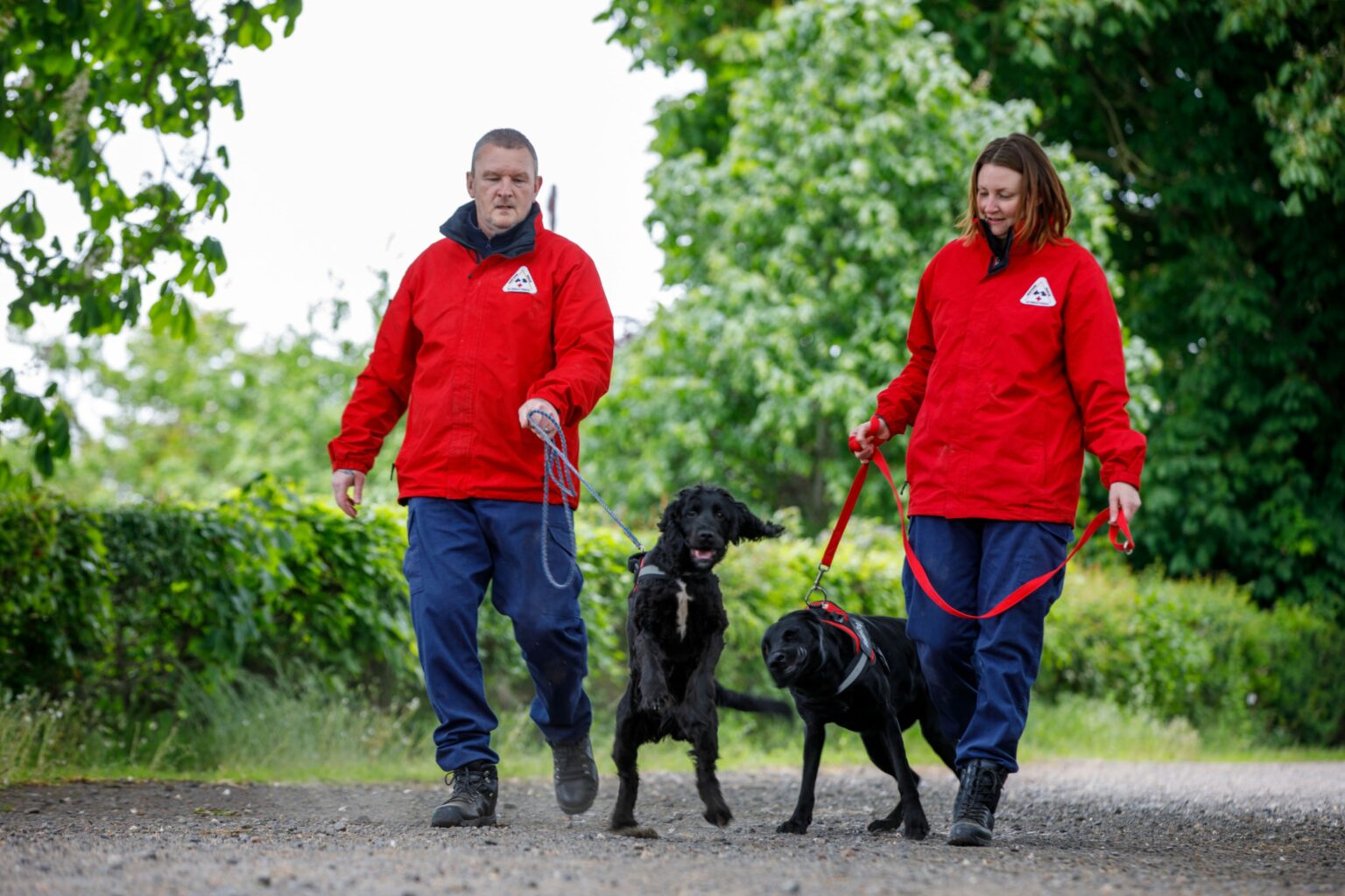 Fife search dogs to be sent to find bodies in Ukraine war ruins