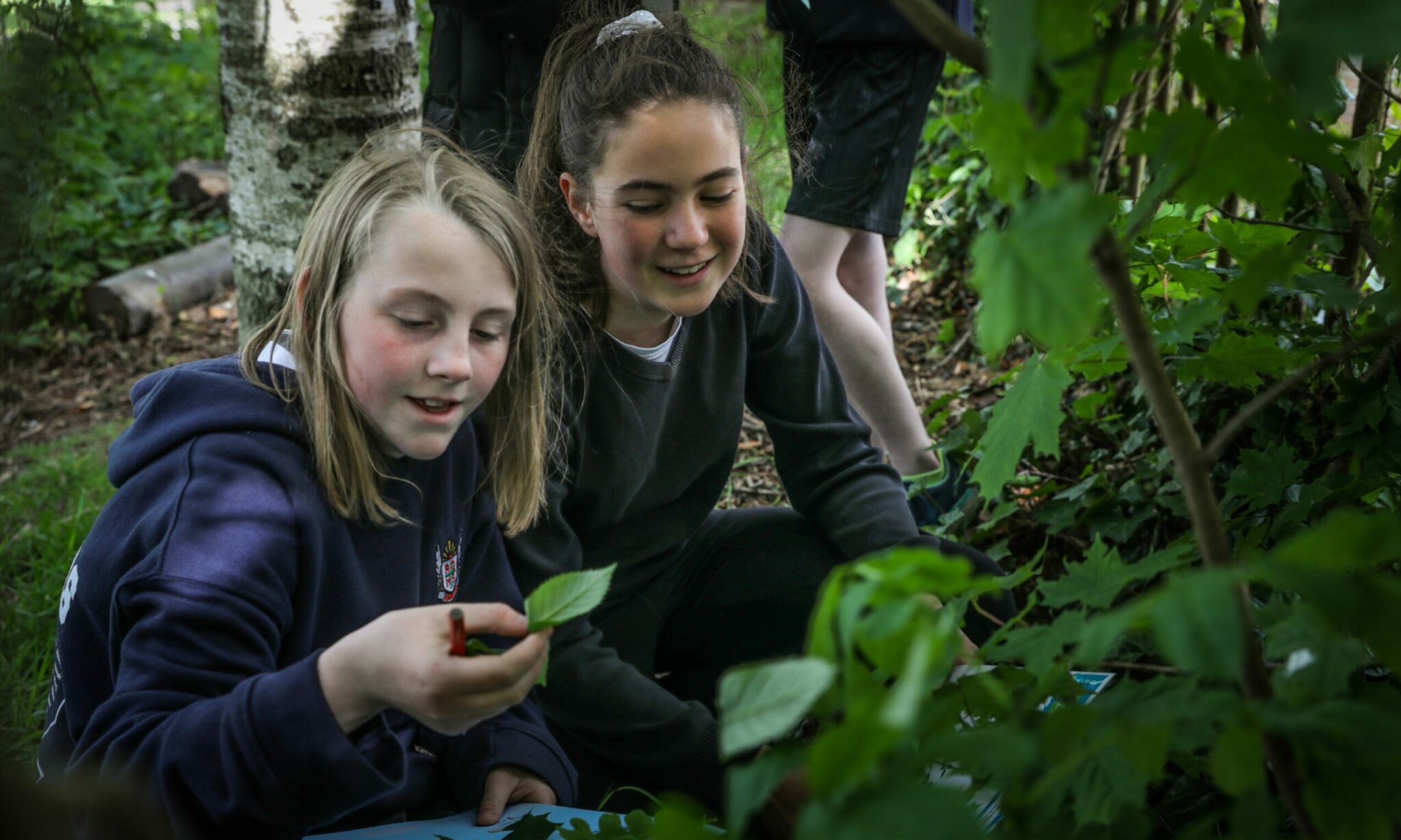 Scone schoolchildren first to gain new Scottish Junior Forester Award