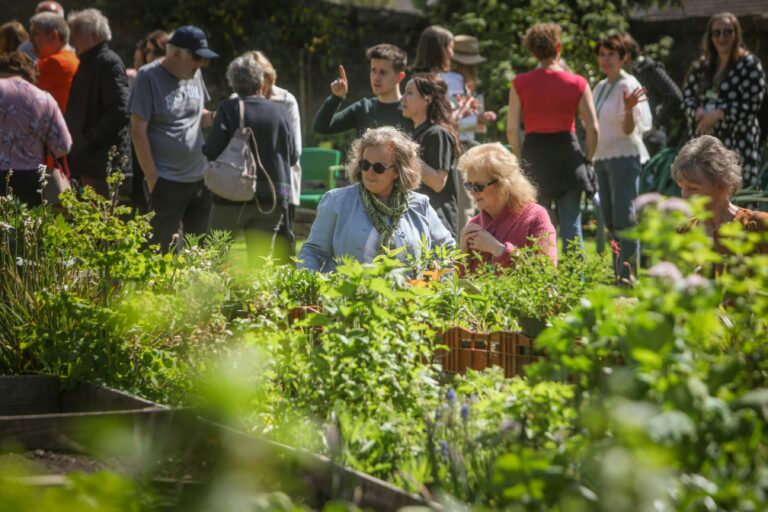 £165,000 Forfar garden to grow from 'thorn in the flesh' town site