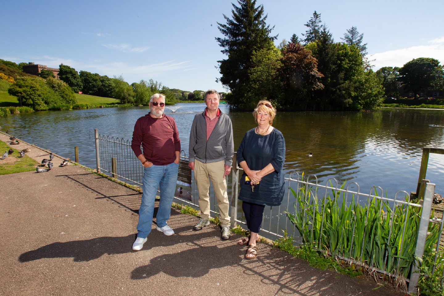 Bid to remove 'cannibal' swan from Keptie Pond in Arbroath