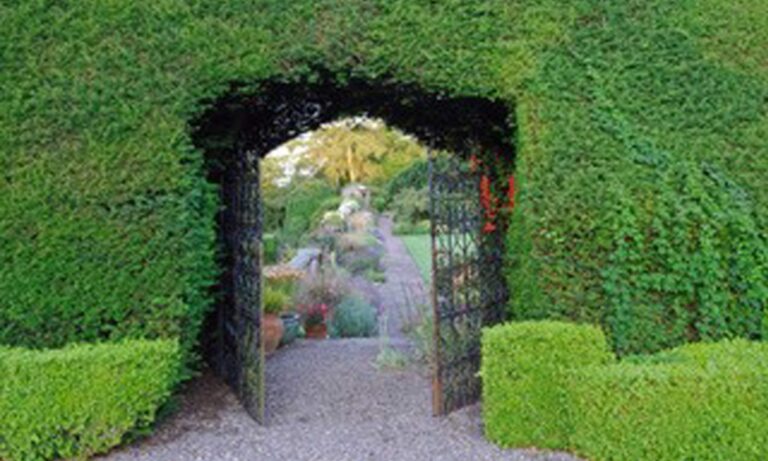 Balcarres Estate opening garden to the public in aid of Children 1st