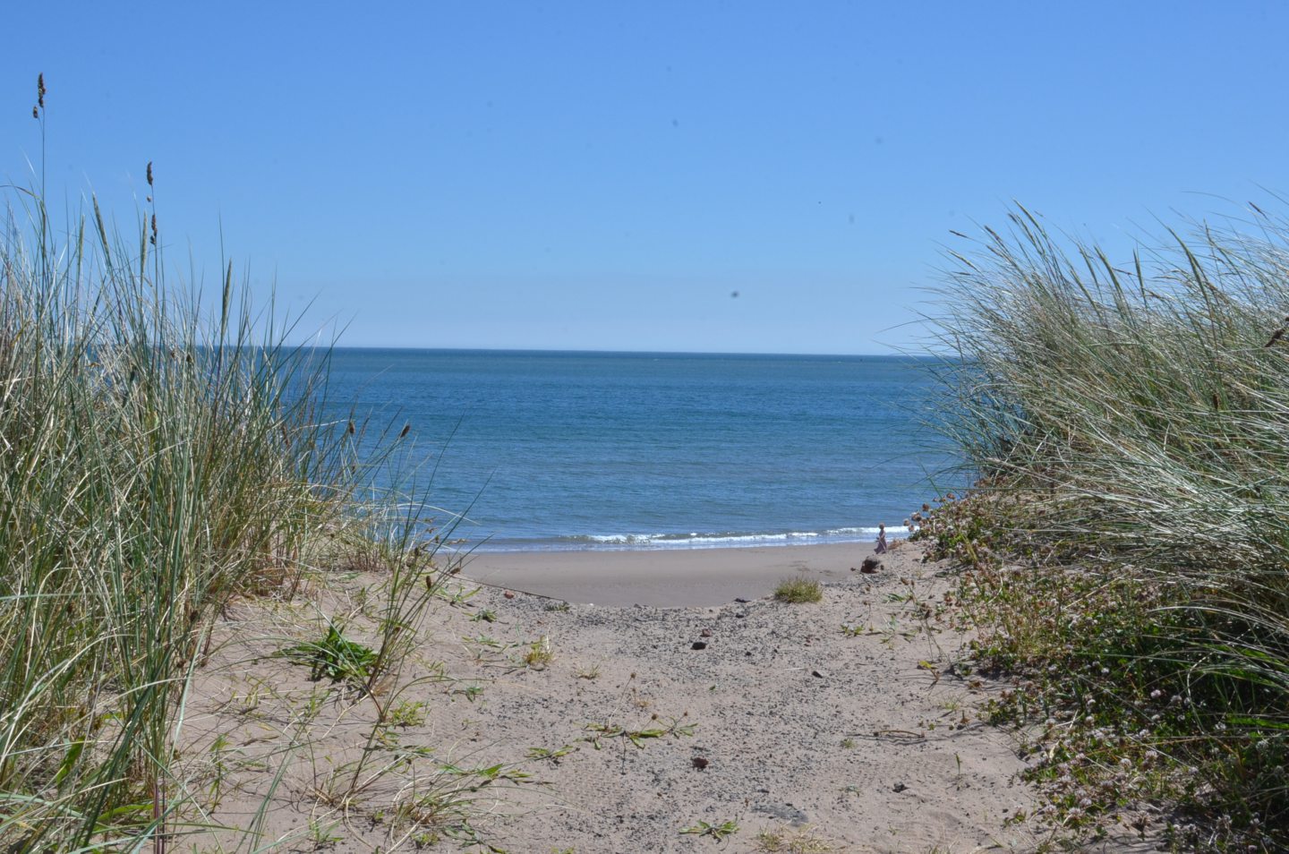 Can Montrose Links hold firm and stop the town from flooding?