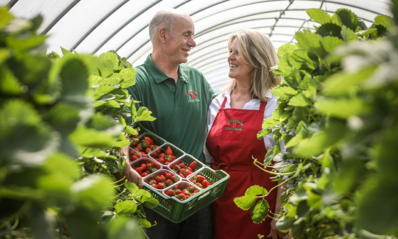Fife fruit farm owners growing ambition to pull in 100,000 visitors