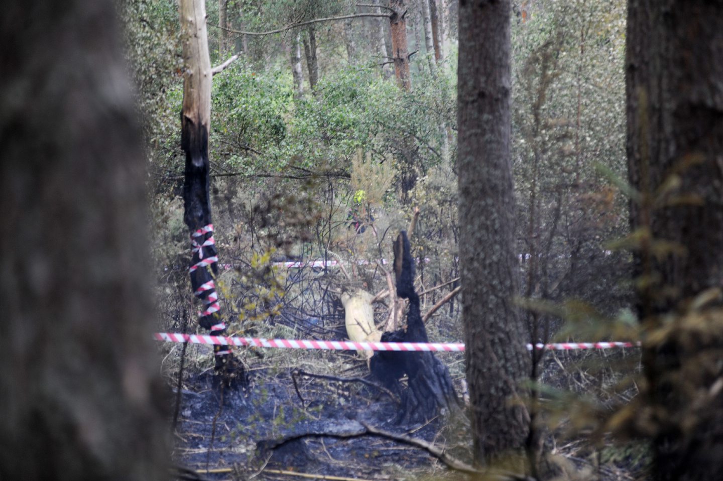 Fire crews battle third wild fire at Devilla Forest this week - The Courier