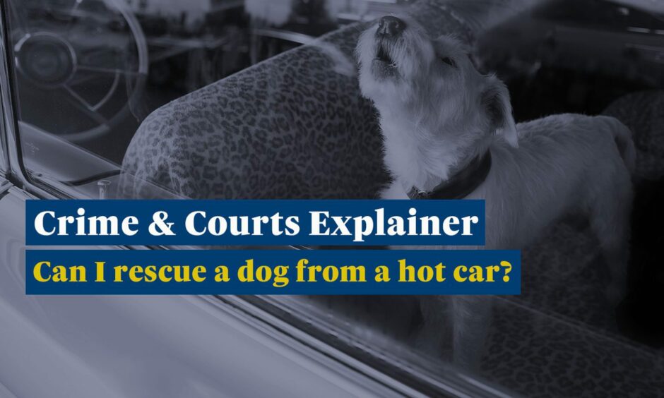 Latest news from your local court | The Courier Courts
