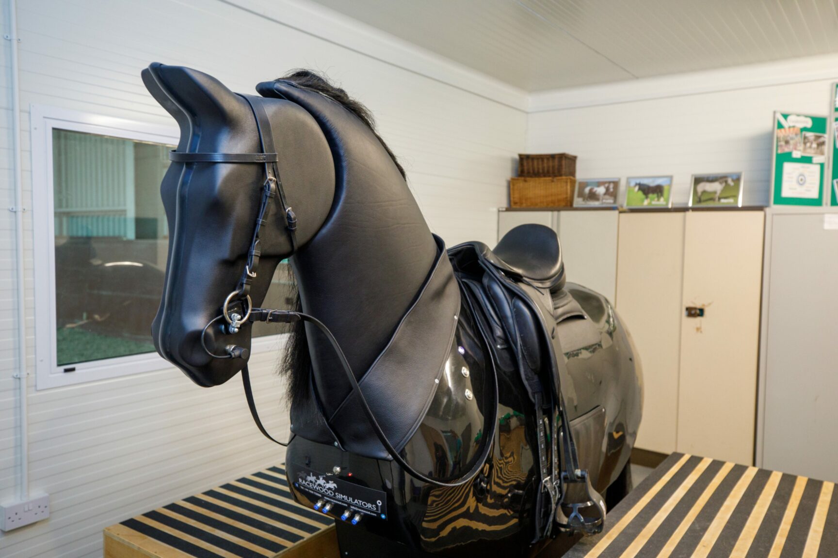 The Brae: Mechanical horse offers simulation for disabled riders
