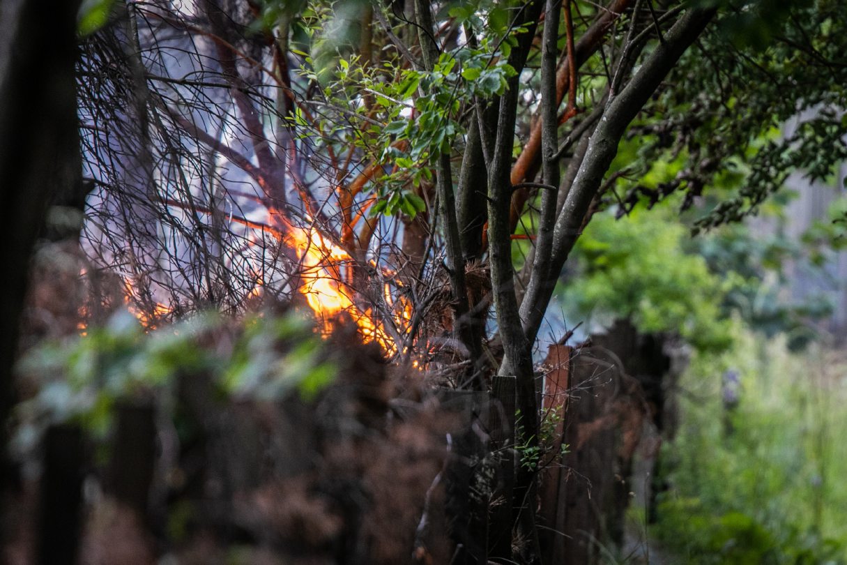 Smoke billows over A92 as crews tackle woodland fire in Kirkcaldy