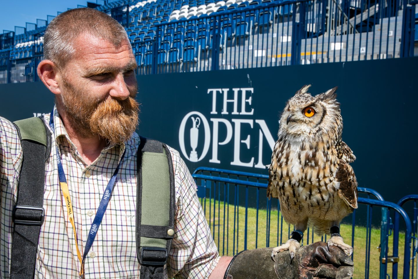 Meet Sage - the official gull scarer at The Open in St Andrews