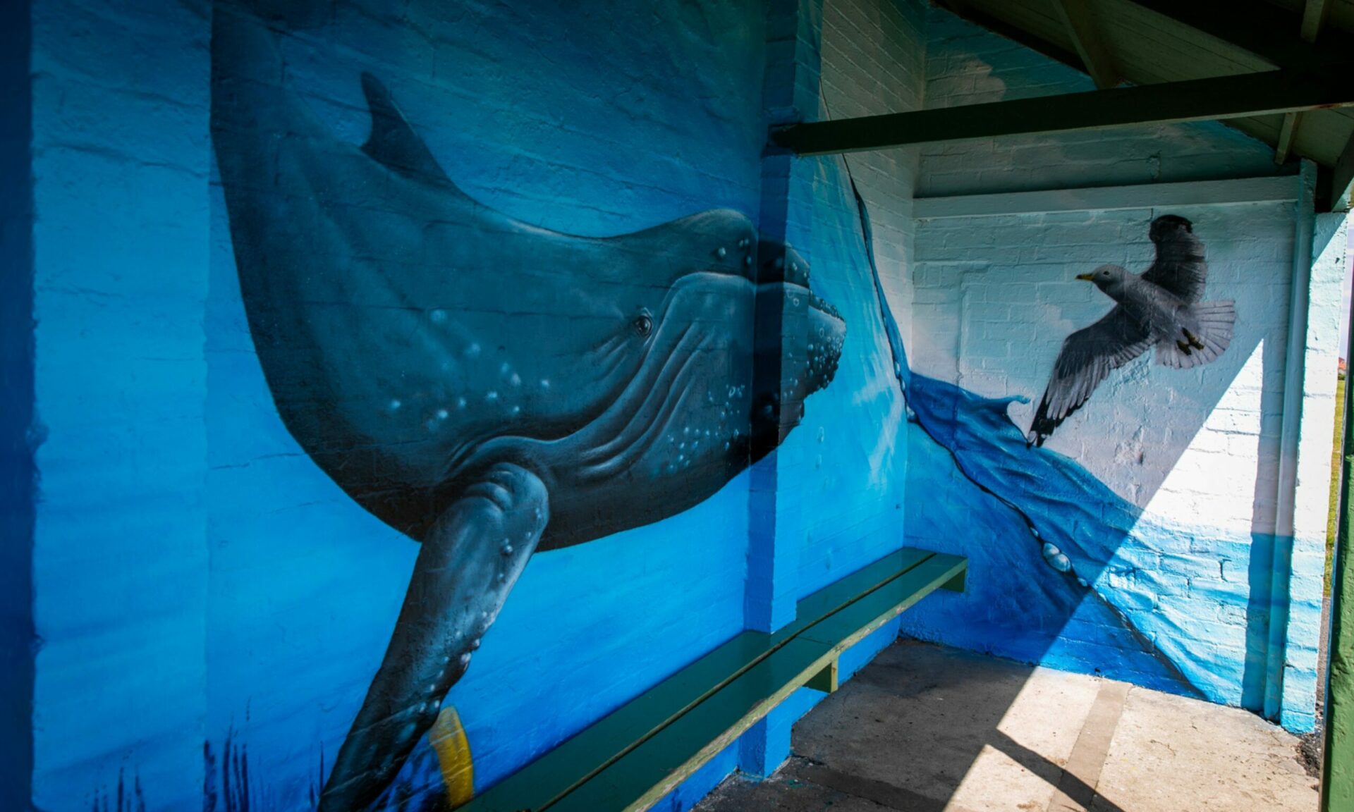 Paco Graff in Pittenweem: New 'masterpiece' beside East Neuk tidal pool