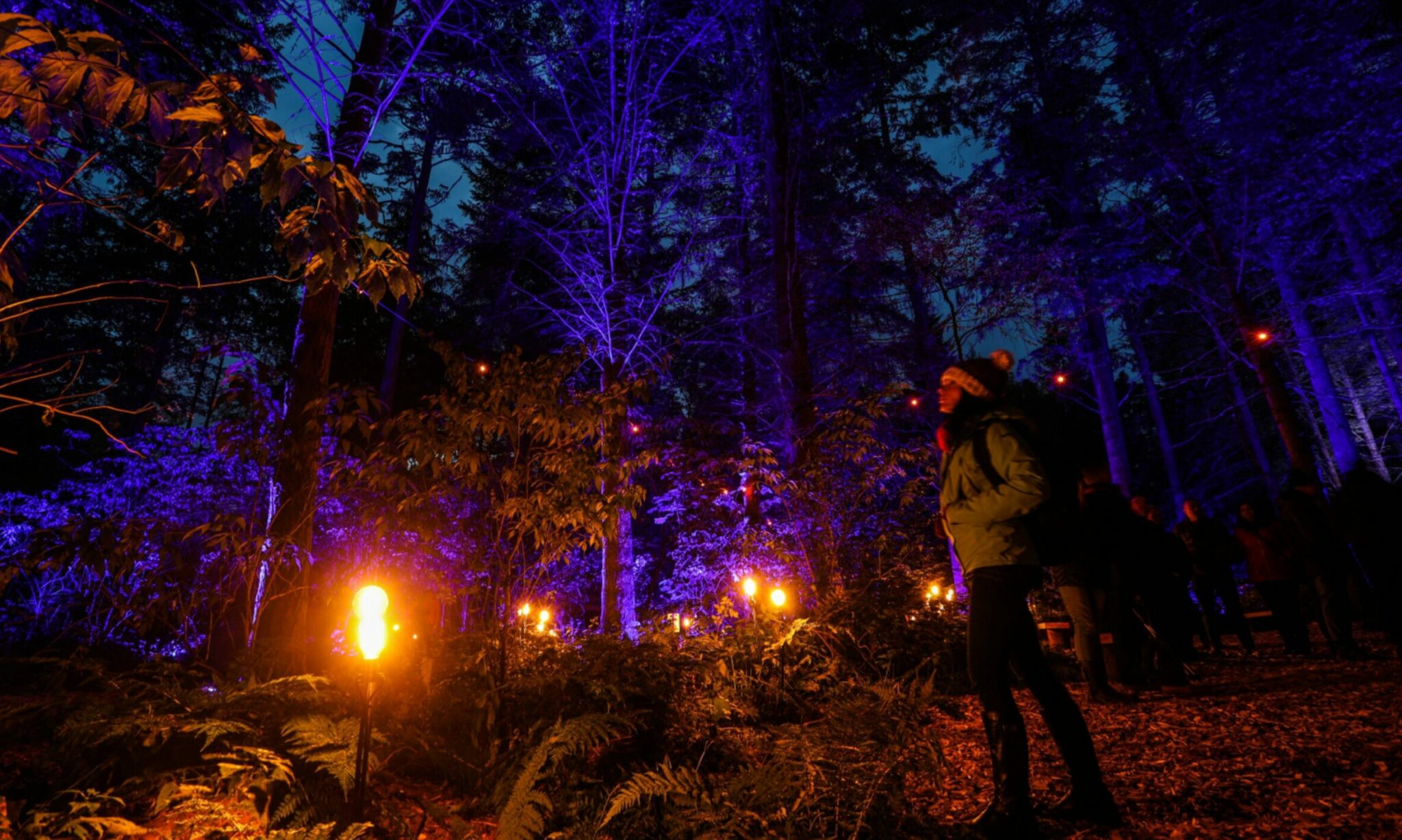 Local News Across Dundee, Perth, Fife, Angus | The Courier News