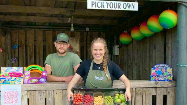 6 of the best Angus farm shops to pick up local produce