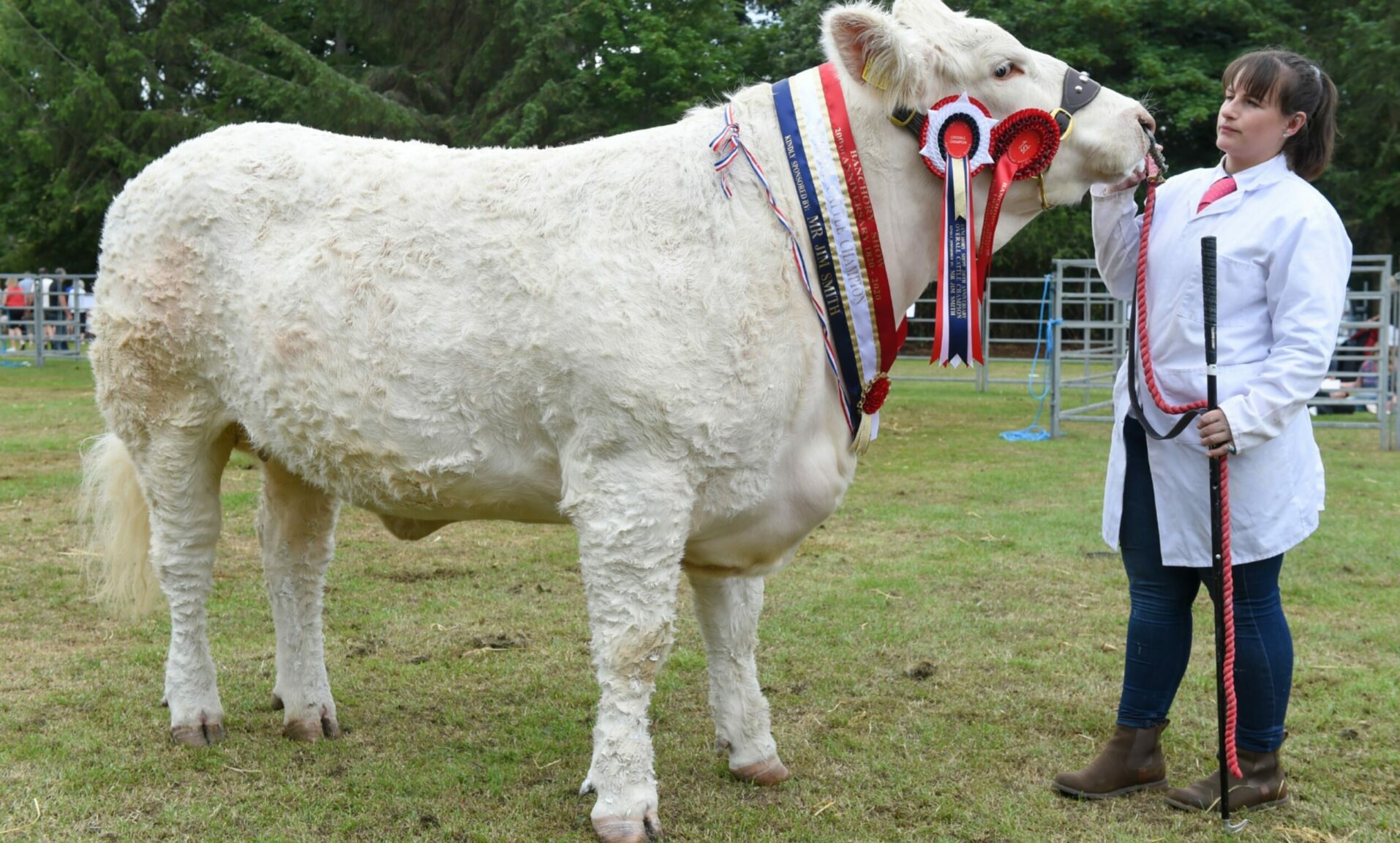 Banchory showground is a Paradise for spectators - The Courier