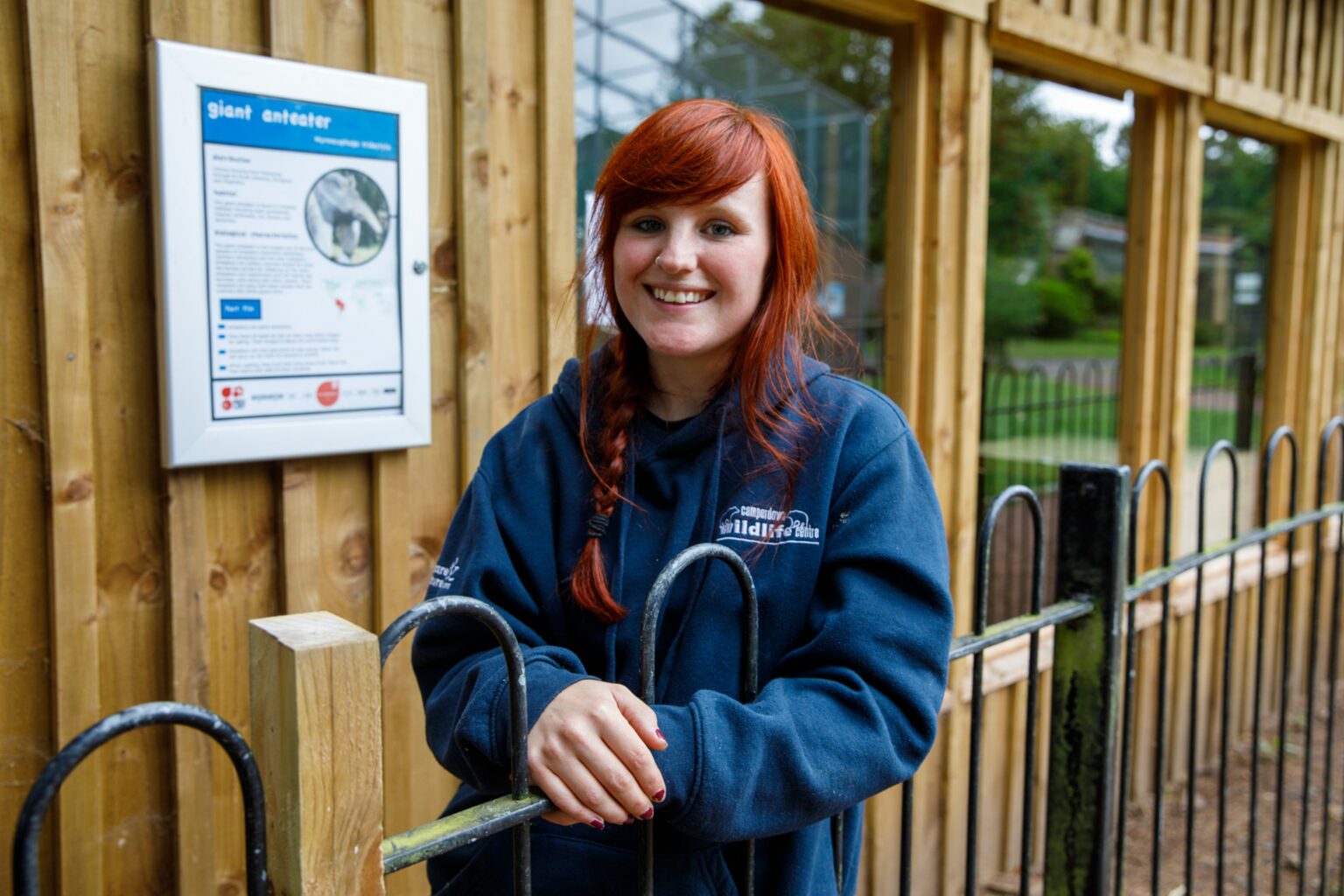 VIDEO: Meet the new giant anteaters at Dundee's Camperdown