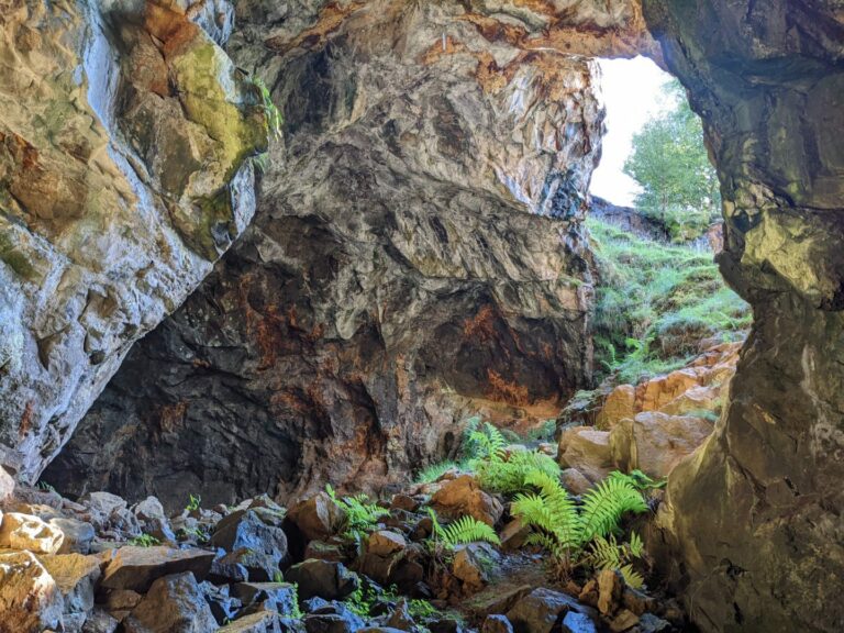Monty Python: Quest to find 'killer rabbit' on banks of Loch Tay in ...