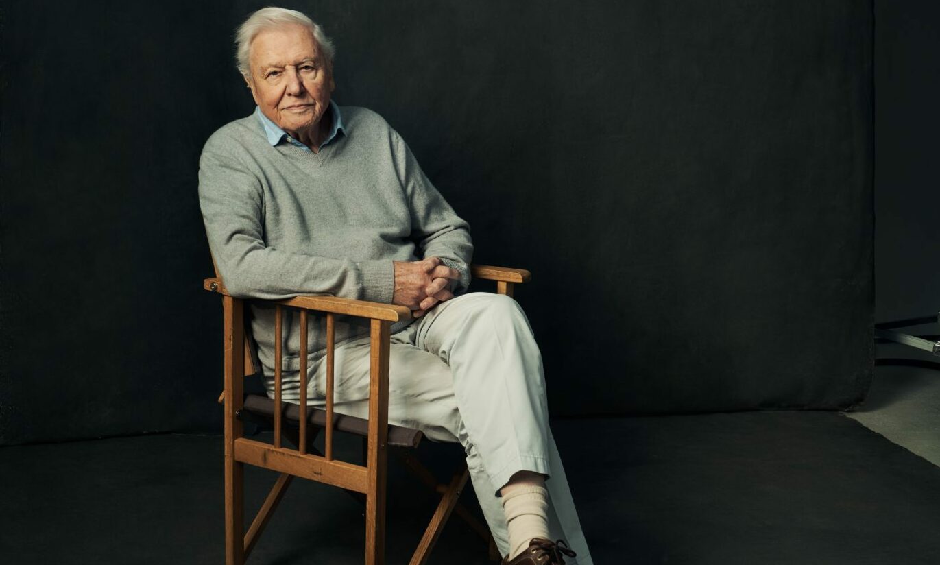 TELLYBOX: More Frozen Planet from David Attenborough, and Simon "blimey ...