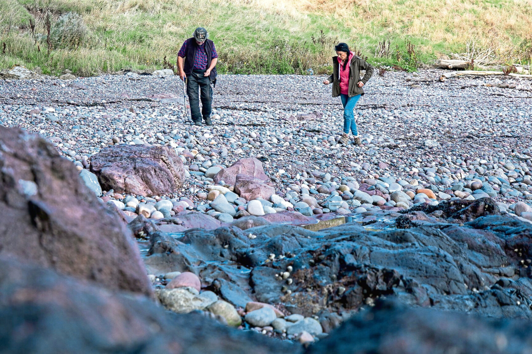 Scottish Geology Festival: Volcanic eruptions, tropical coal swamps ...