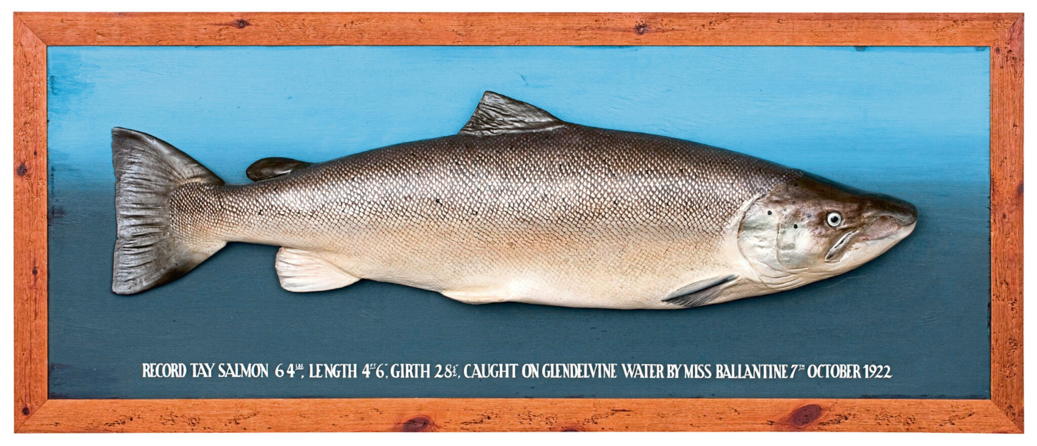 Decorated Perthshire nurse caught biggest salmon a century ago