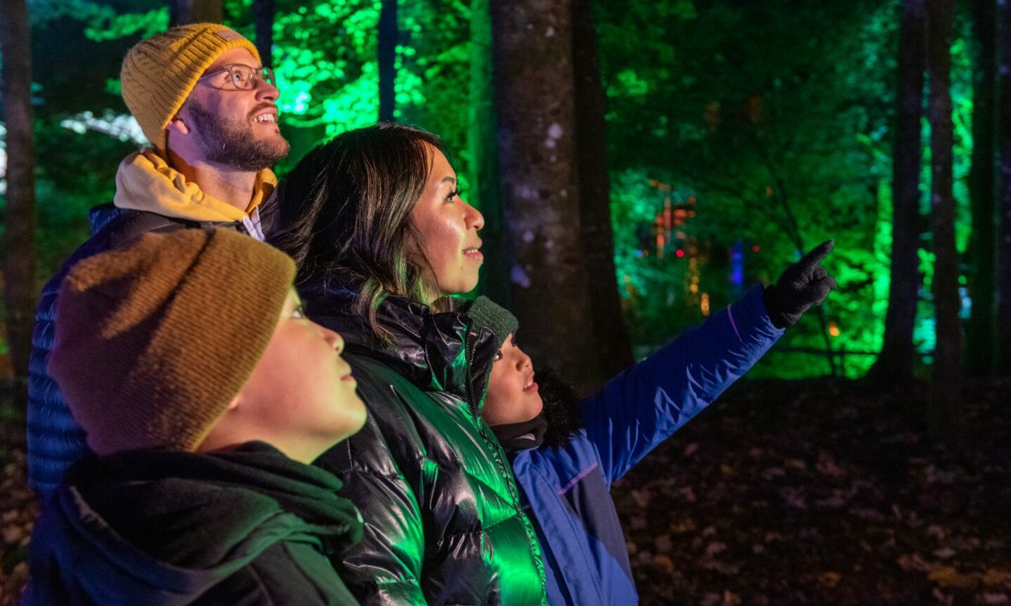 Perthshire bus firms awarded Enchanted Forest contracts