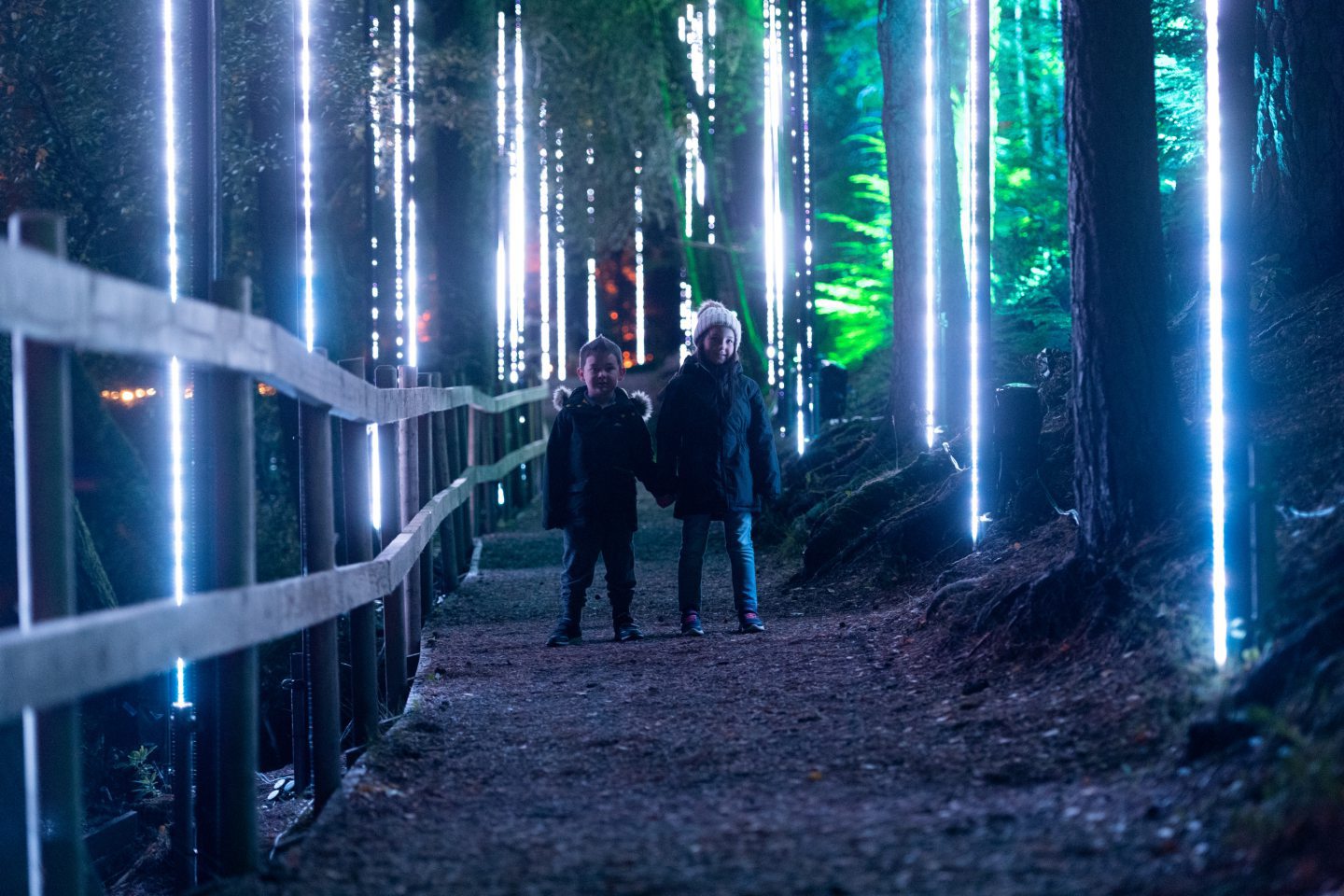 Dates confirmed for next year's Enchanted Forest as tickets go on sale ...