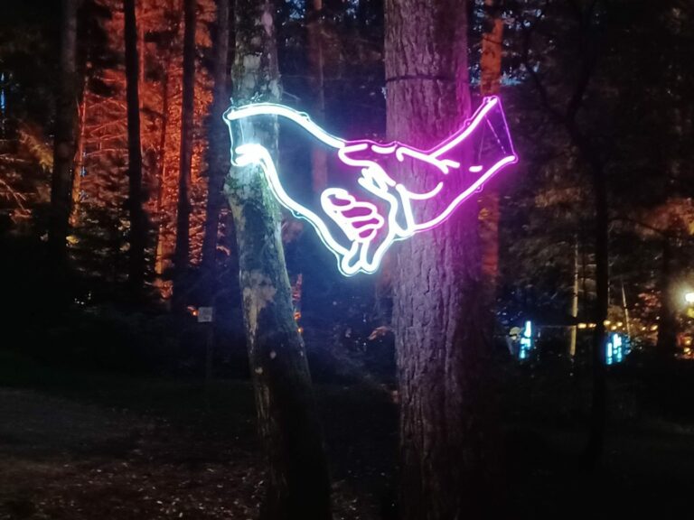 Enchanted Forest: First pictures as show makes magical return