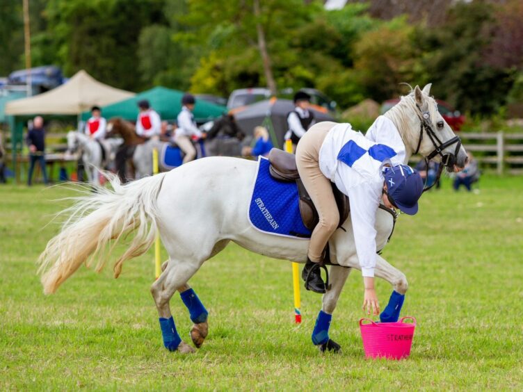Strathearn Pony Club: Fun, falls and life skills at local success story