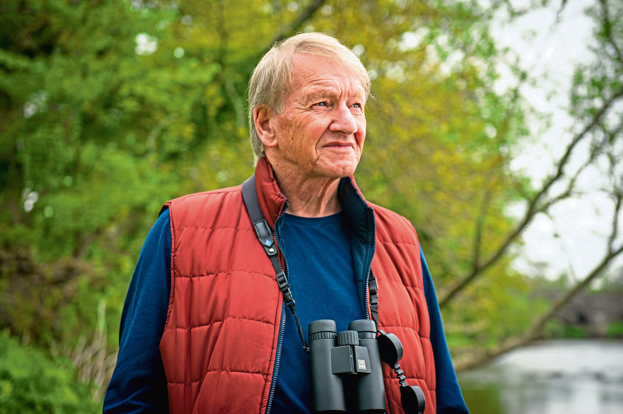 Jim Crumley on talk of deer cull in Fife, Perthshire and Angus