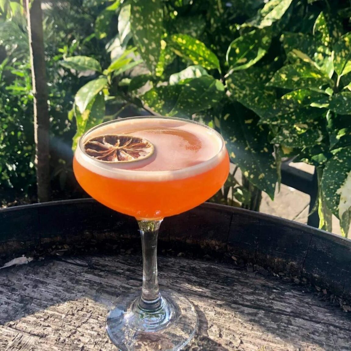 These are top 5 must-visit student bars in Dundee