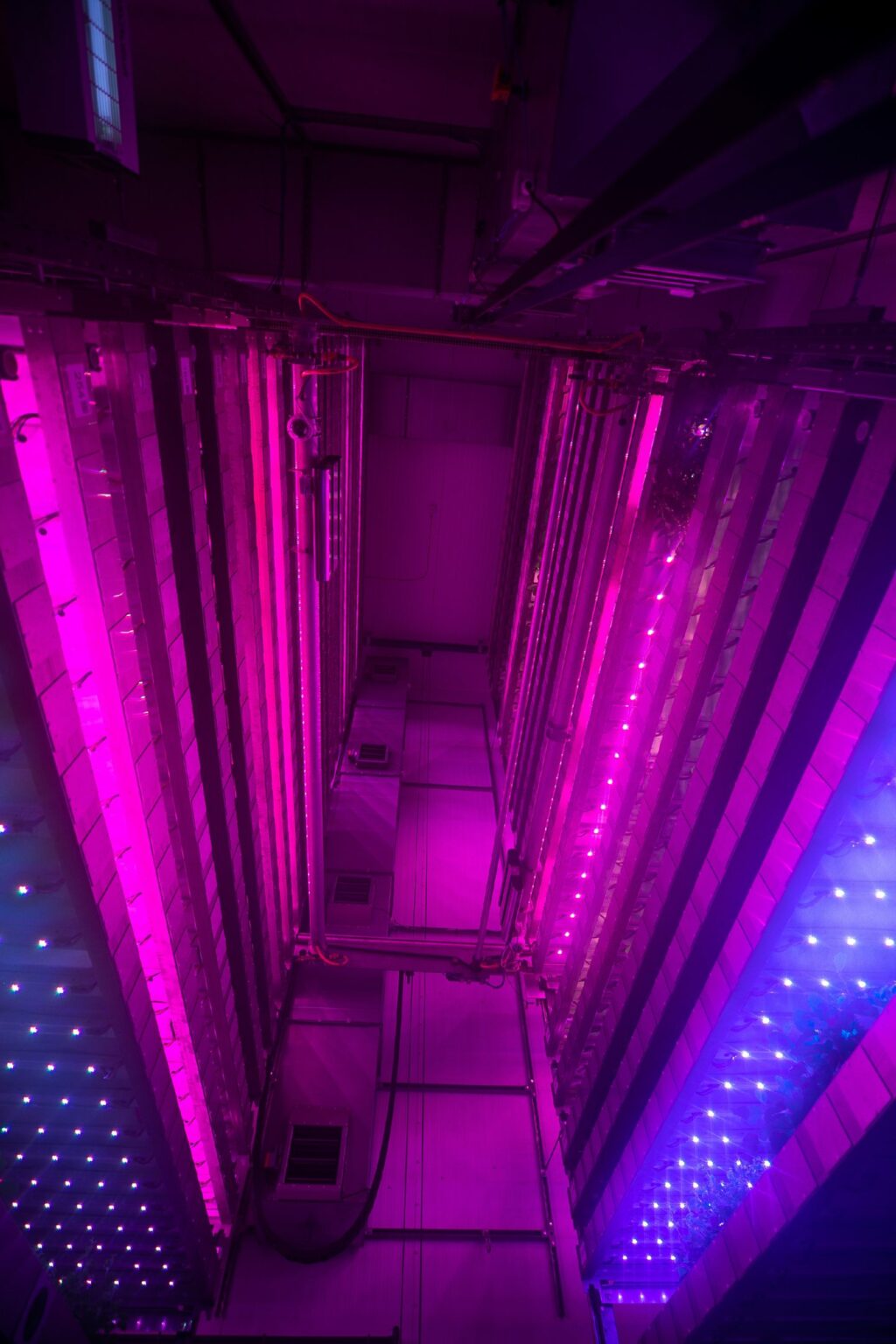 Tree 'vending machine' near Dundee could help reforest Scotland