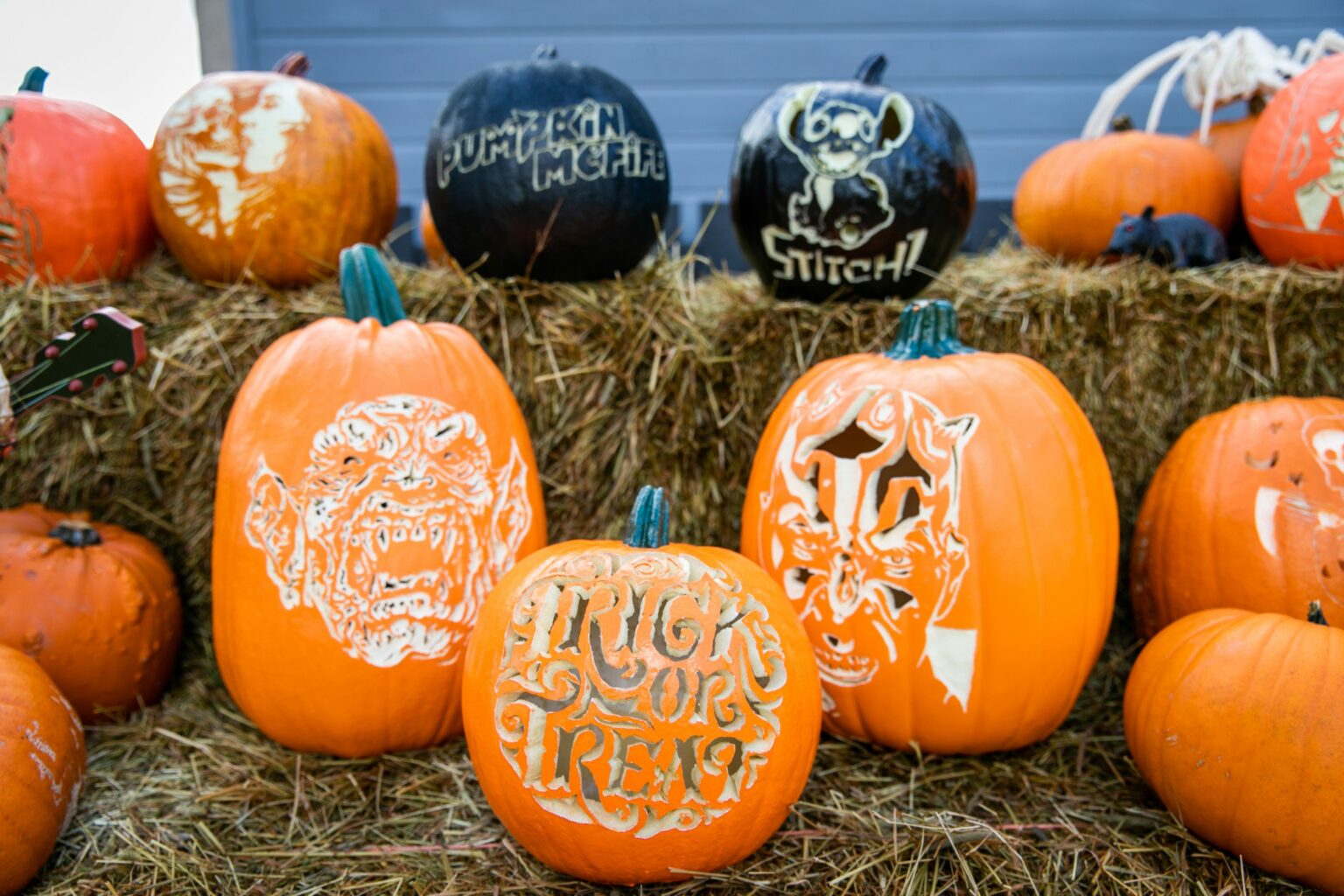 Fife pumpkin carving artist shows off his finest designs as he reveals ...