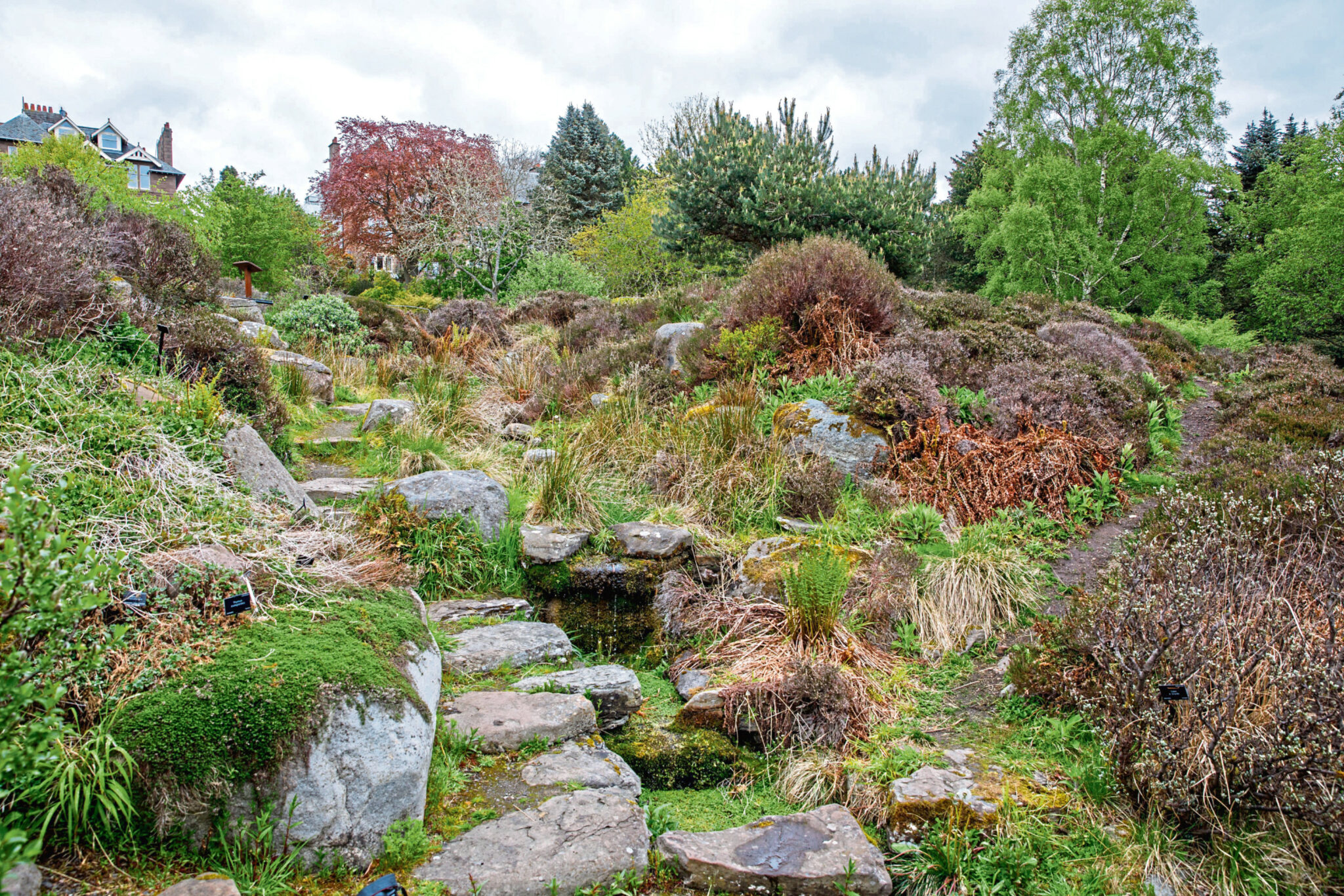 An insider’s guide to the 5 best things about Dundee's West End