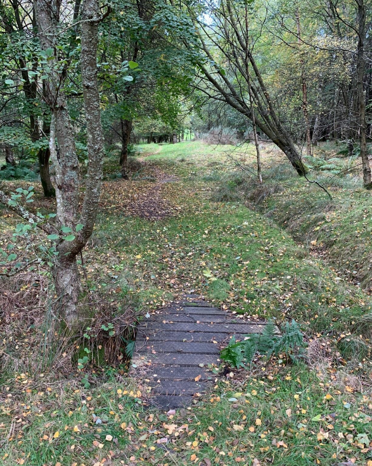 WALK THIS WAY: Newtyle rail trail in Angus - The Courier