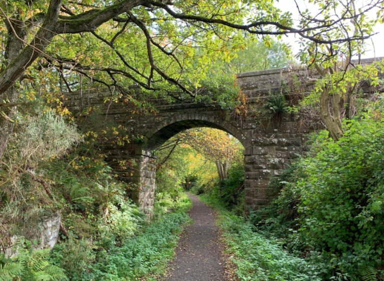 WALK THIS WAY: Newtyle rail trail in Angus - The Courier
