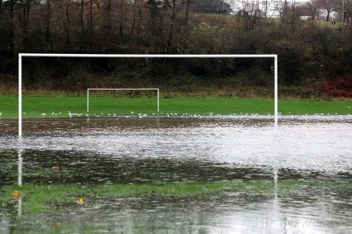 Dundee jokers take to flooded football pitch in rubber dinghy - The Courier