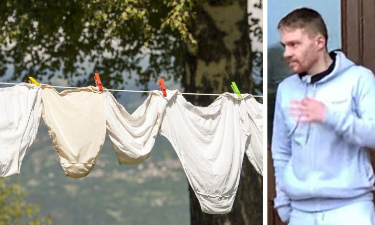 Knicker thief given supervision after Arbroath washing line raids