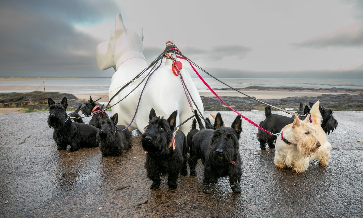 Mach brothers become creative ambassadors for Scotties by the Sea