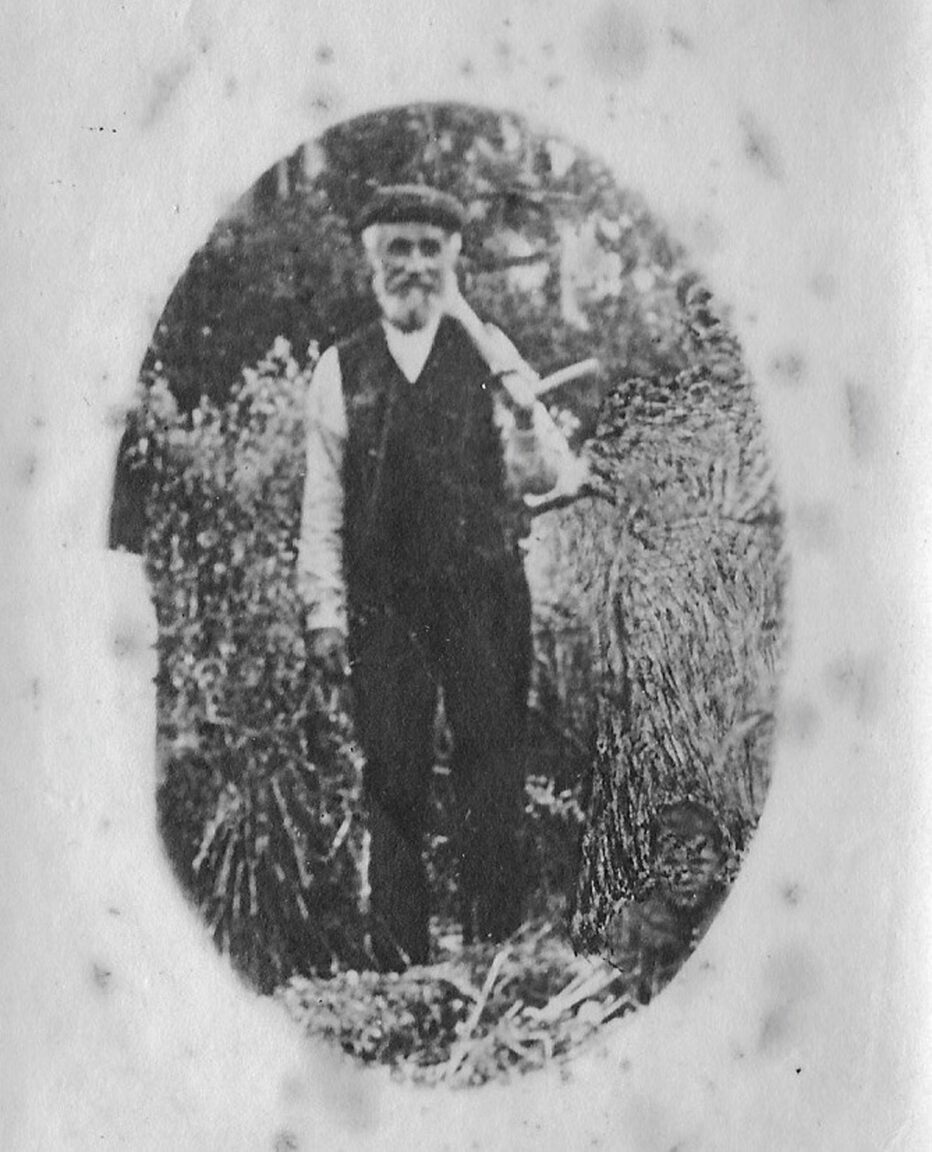 Storm Gerrit claims 226-year-old Carnoustie Dibble Tree