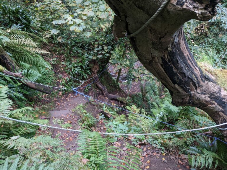'Lost' waterfall of Scotland: Are you daring enough to explore hidden ...