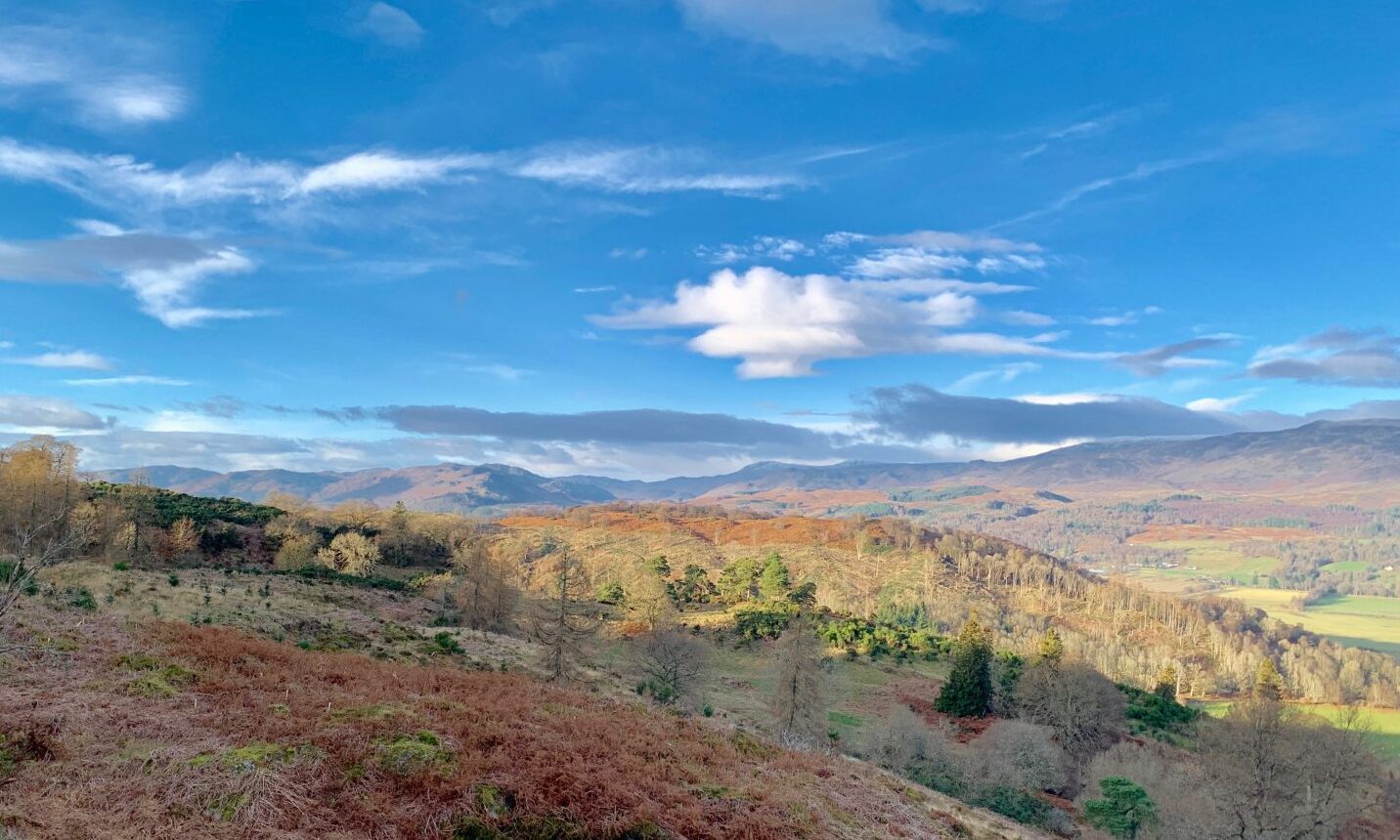 WALK THIS WAY: Torlum Wood near Comrie in Perthshire