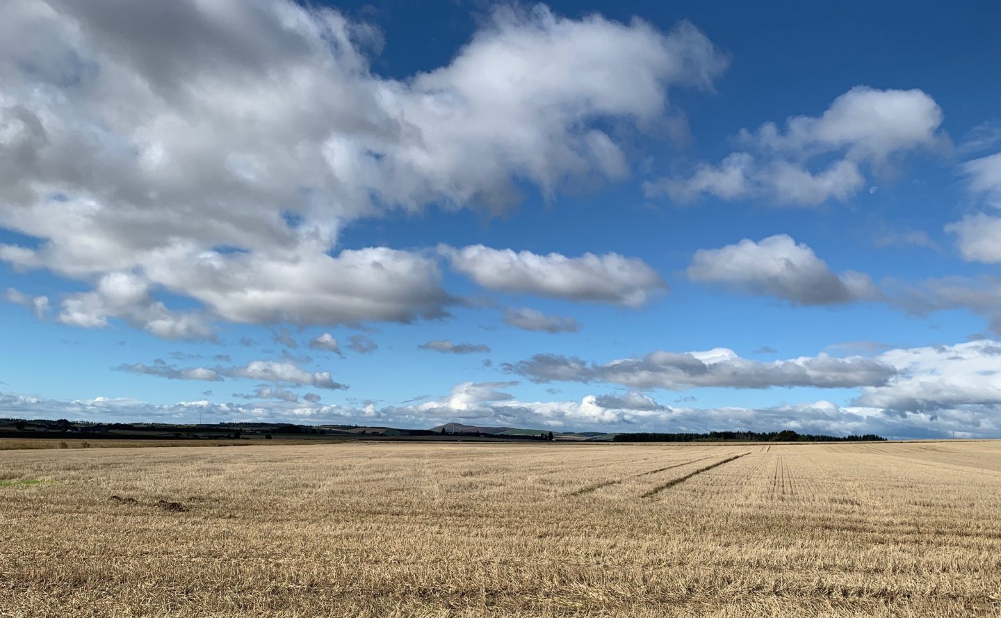WALK THIS WAY: Carmyllie Heritage Trail in Angus - The Courier