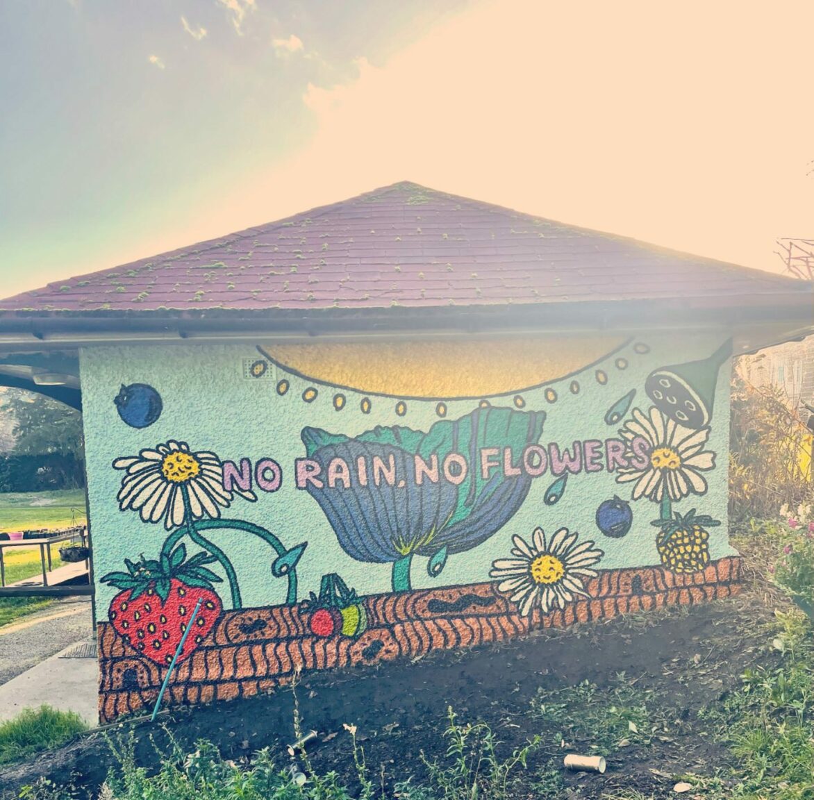 New mural unveiled at Victoria Community Garden in Dundee