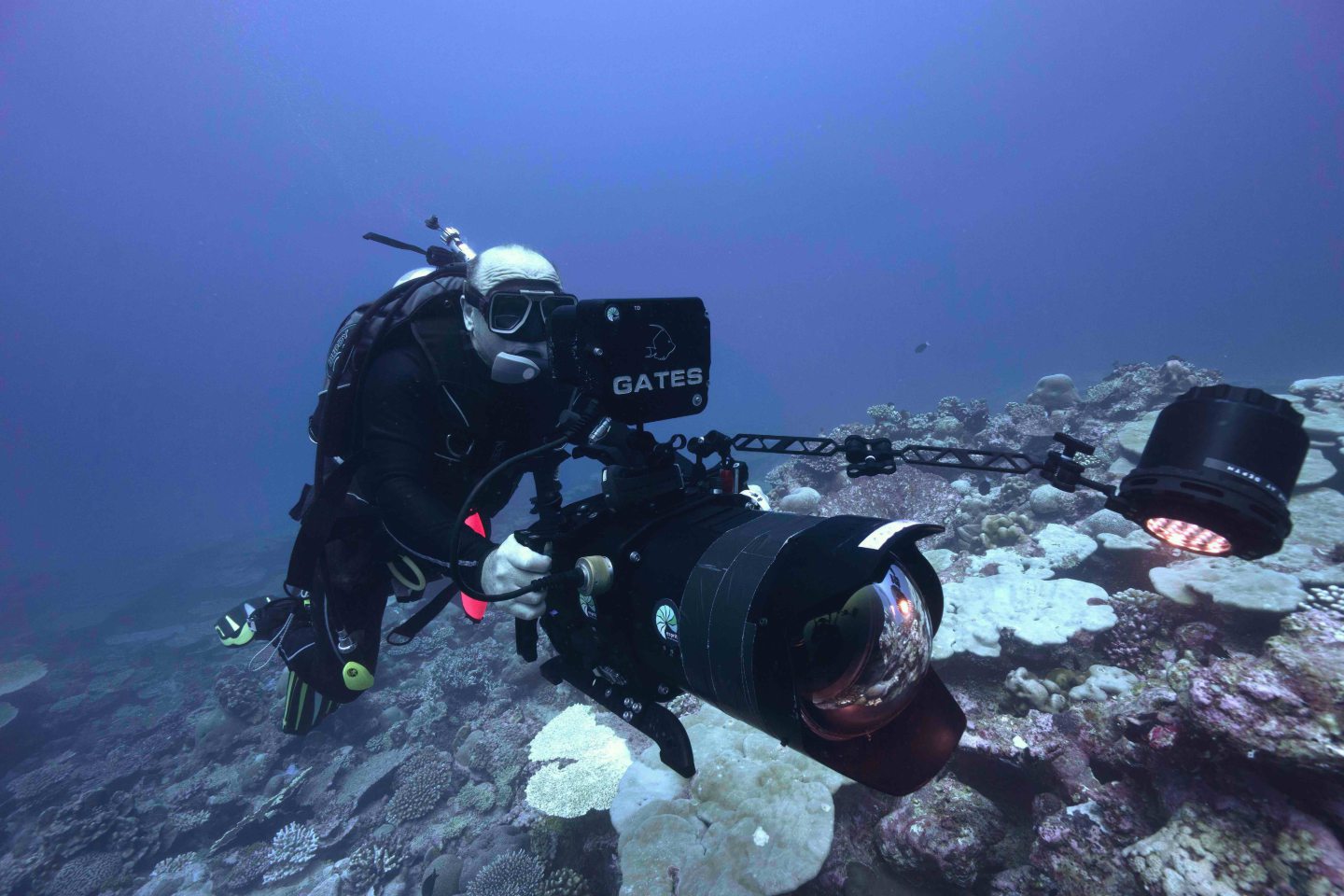 Fife-born wildlife cameraman Doug Allan to give Perth talk