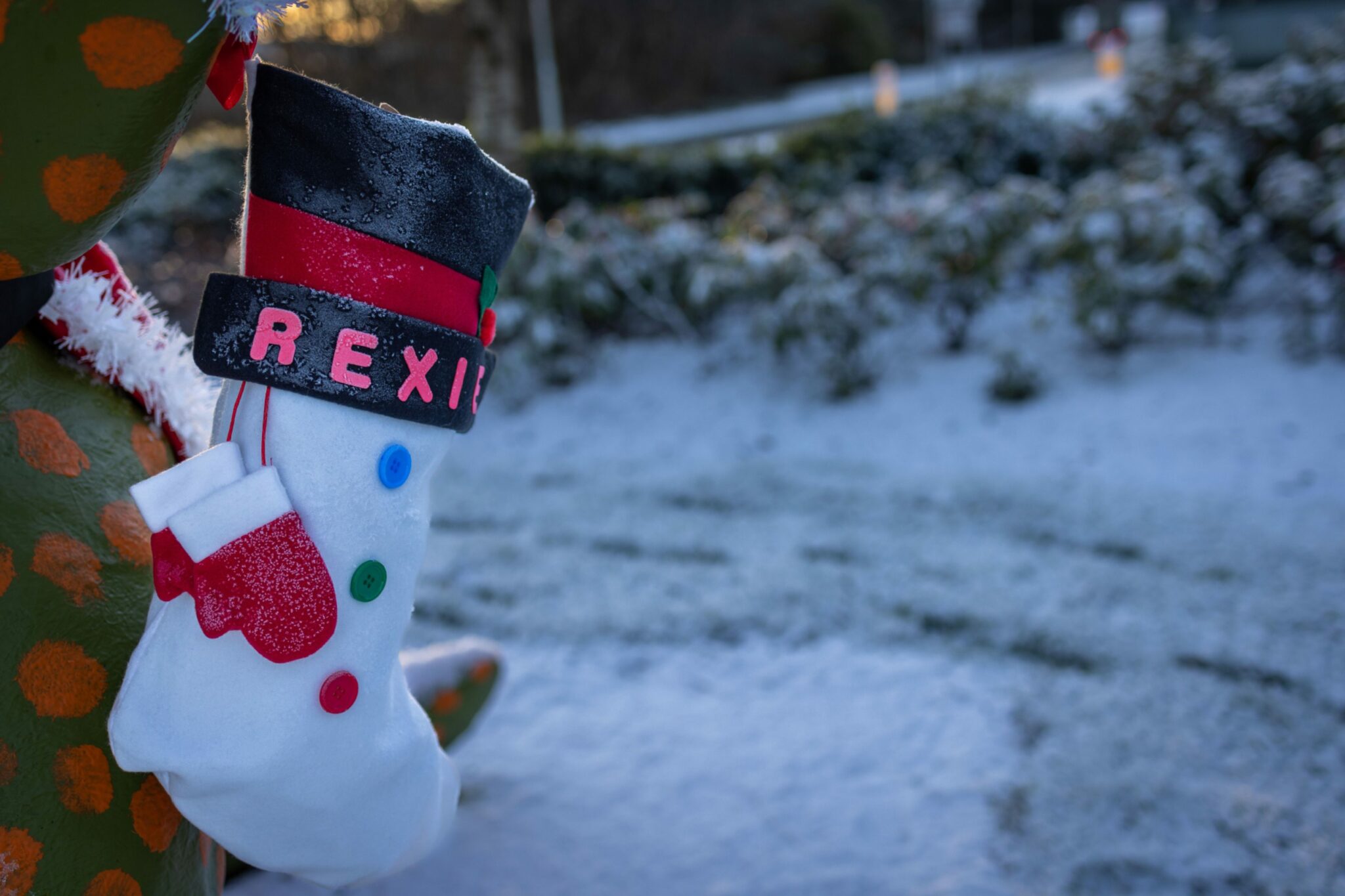 Rexie the Glenrothes dinosaur ready for Christmas with latest outfit