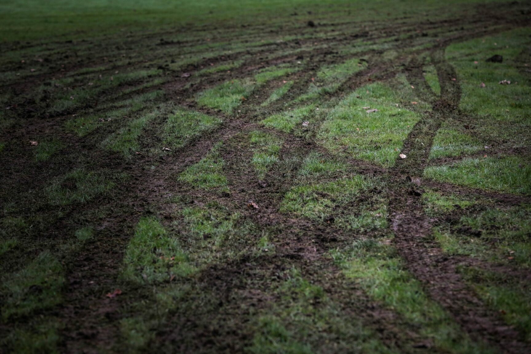 Dundee Rugby Club: Damage to pitches not as bad as first feared