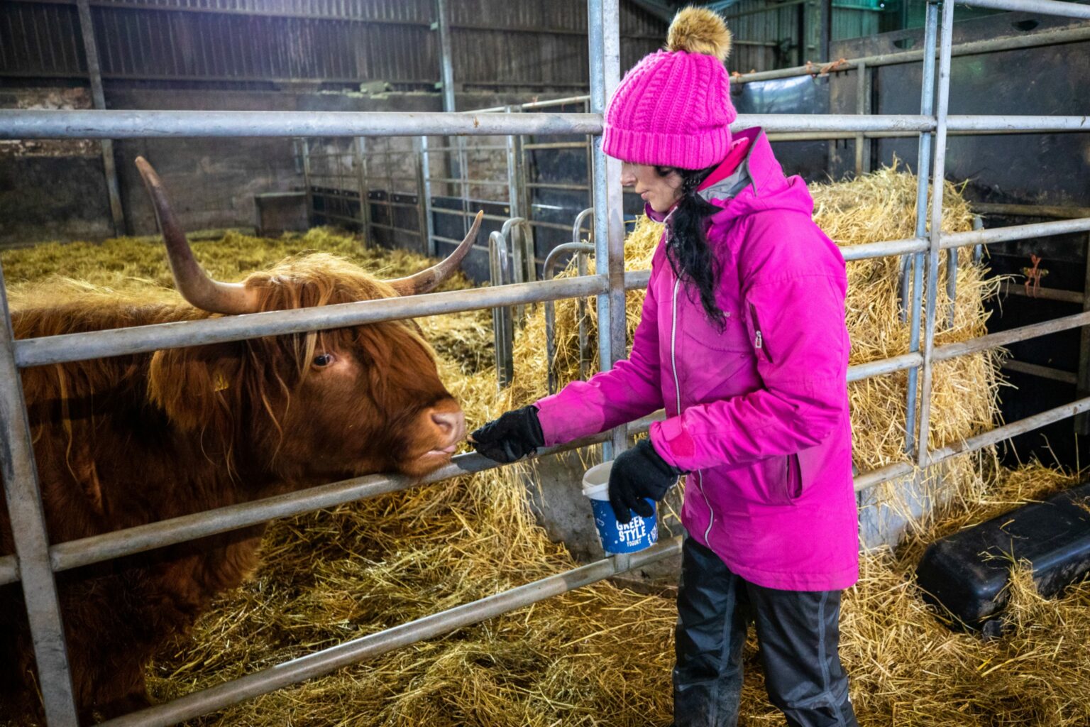 Newton Farm Tours: Meet alpacas, cows, goats, miniature donkeys - and a ...